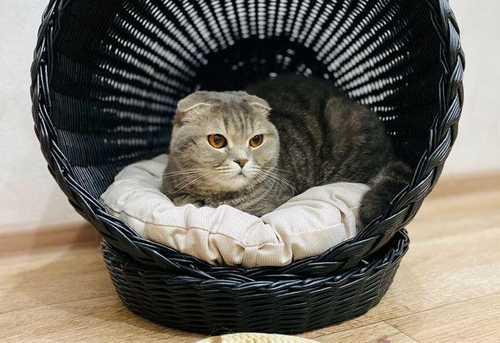 Домик лежанка для кошки или собачки