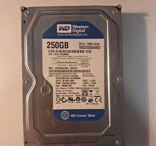 Жёсткий диск Western Digital 250gb