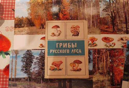 Открытки Грибы русского леса