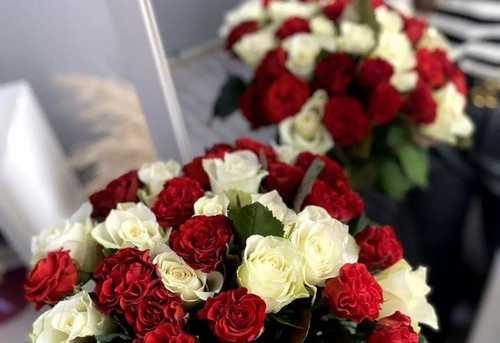 Букет из 33 красно-белых роз