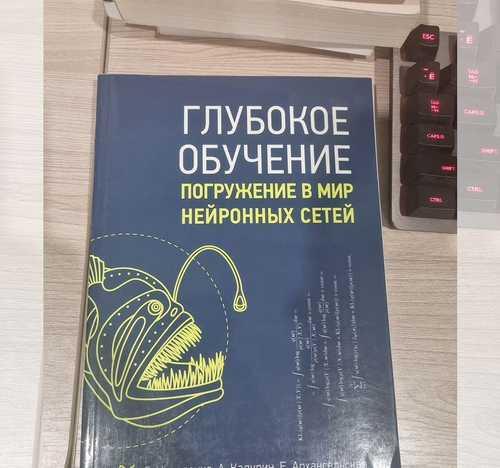 Книга Погружение в мир нейронных сетей