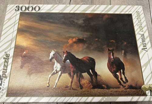 Пазлы 3000 деталей