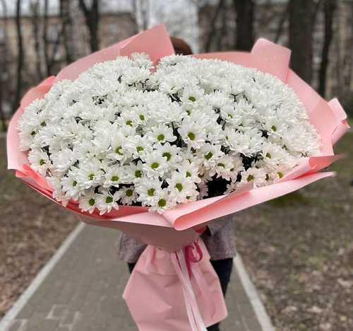 Гигантский букет ромашек