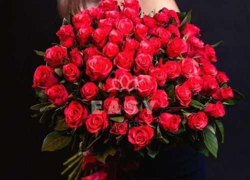101 роза Поздравление с 8 марта, Днем Влюбленных