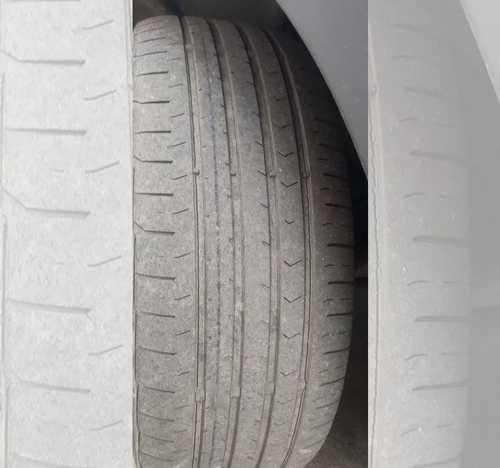 Continental ComfortContact - 1 205/55 R16 91H