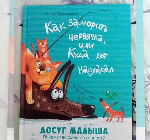 Как заморить червячка или куда кот наплакал