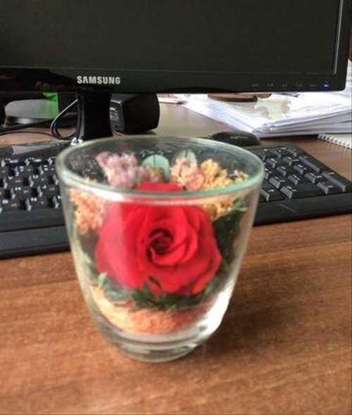 Роза в стекле