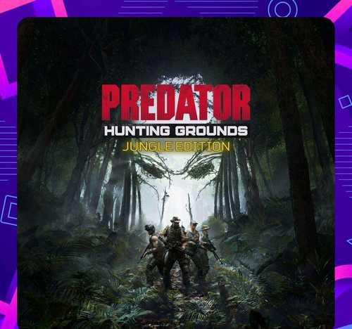 Predator: Hunting Grounds - Orman edition PS5