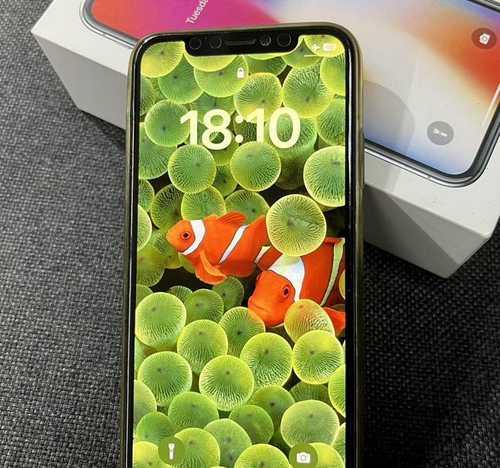 iPhone X, 256 ГБ