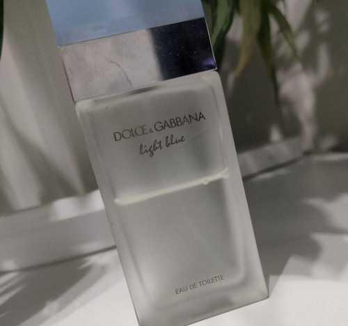 Dolce gabbana light blue