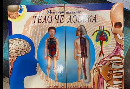 Книга детская "Тело человека"