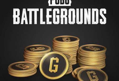 G-coin pubg