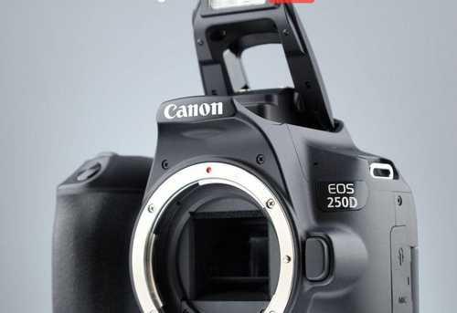 Canon EOS 250D body Black (id-12231399)