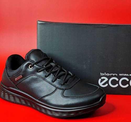 Кроссовки Ecco Biom