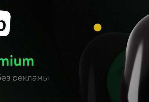 Spotify premium турция