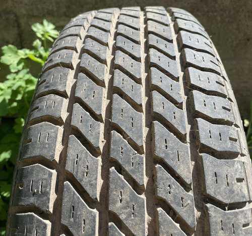 Pirelli P600 195/65 R15 91