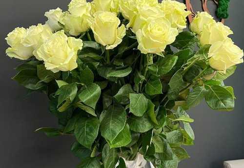 Белые розы 60 см Эквадор
