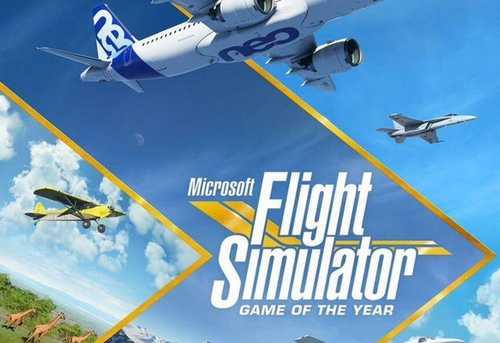 Игра Microsoft Flight Simulator