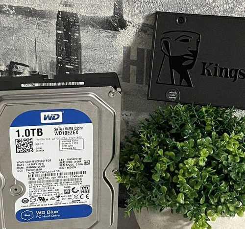 SSD Kingston 240GB / HDD 1TB WD Blue