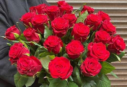 Красные розы. Букет 25 красных роз вип 70см