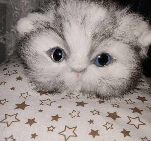 Сумка кот и котенок ключница (кошка)