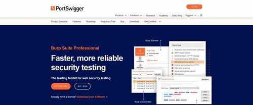 Бессрочная лицензия Burp Suite Professional