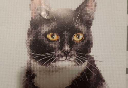 Остатки от набора для вышивания "Черный кот"