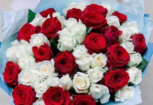Букет из 51 красной и белой розы 35-40 см (Россия)