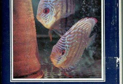 Набор советских открыток "Пёстрый мир аквариума"