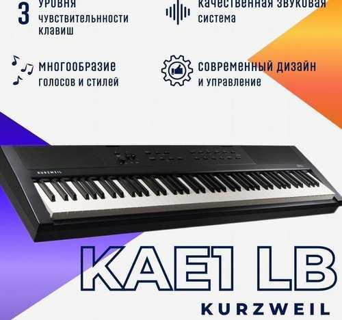 Цифровое пианино Kurzweil KaE1 черное