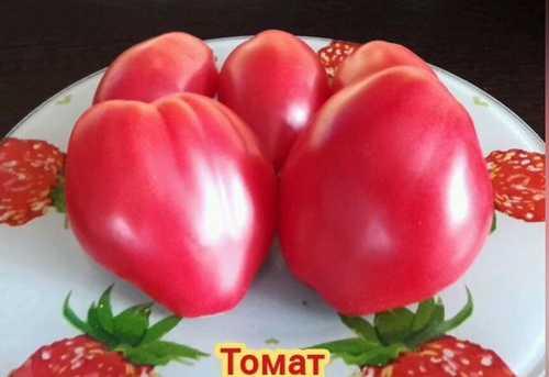 Семена томатов серии Гном Томатный
