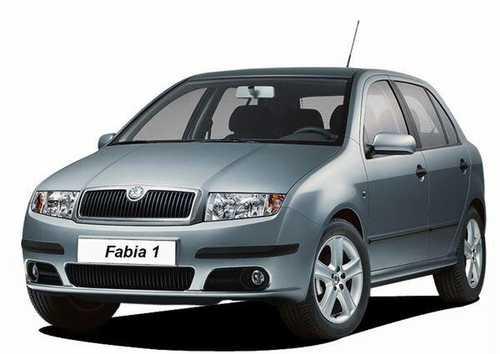 Чип тюнинг Skoda Fabia I