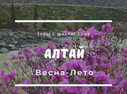 Туры на Алтай (весна-лето)