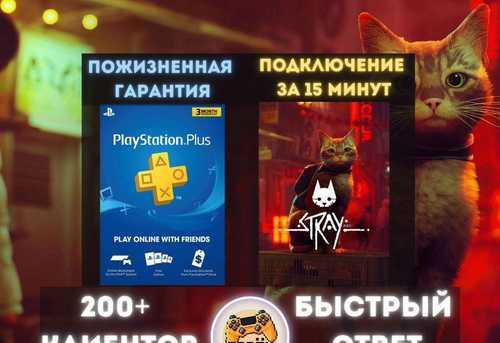 Подписка PS Plus