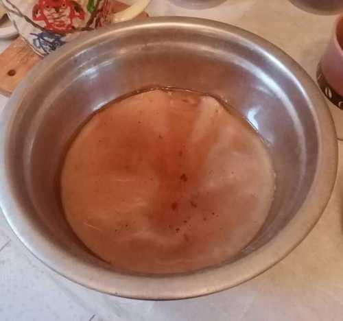 Отдам чайный гриб