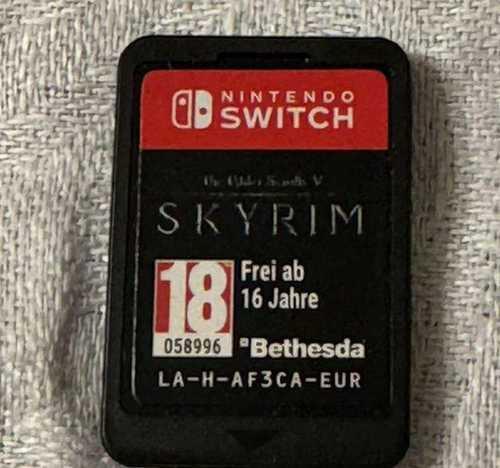 Nintendo switch skyrim