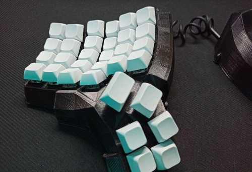 Dactyl manyform 5x6