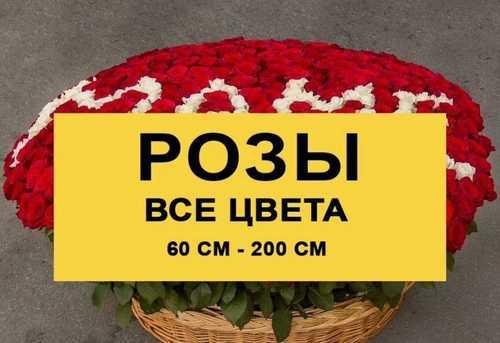 101 роза Доставка цветов Москва