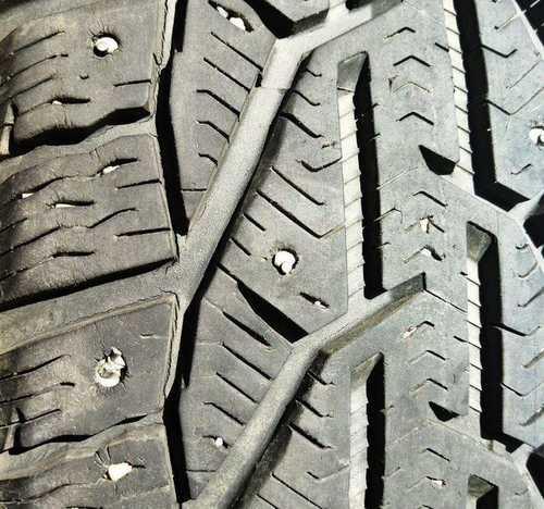 Tigar Winter 215/60 R17