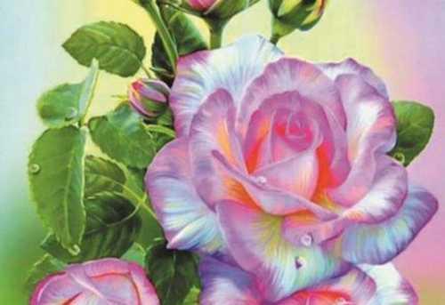Алмазная мозаика 30x40 Нежно-розовые розы