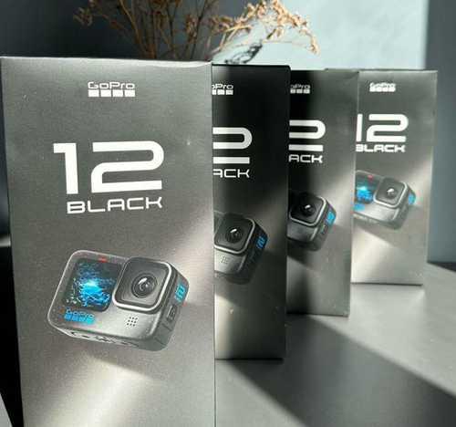 GoPro Hero 12