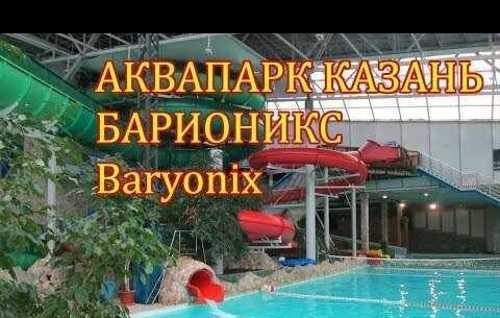 Билет в аквапарк Барионикс
