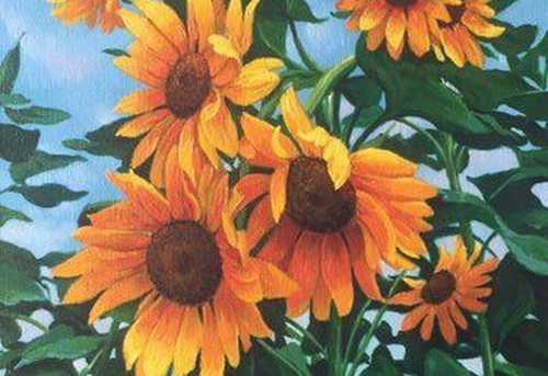 Картина маслом подсолнухи,цветы,цветок солнце
