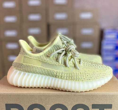 Adidas Yeezy Boost 350 Antlia