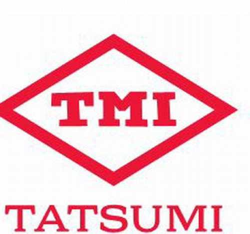 Tatsumi TFS1046 Цепь грм с натяжителями, комплект