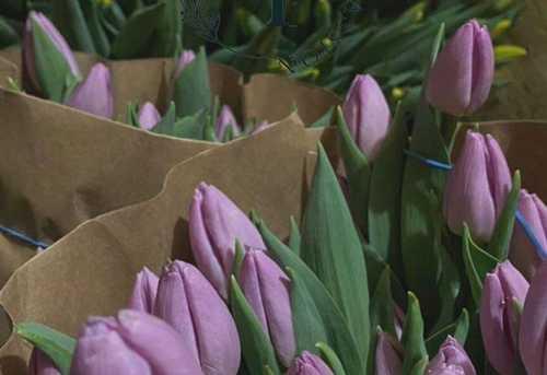 Тюльпаны Башкирские к 8 марта