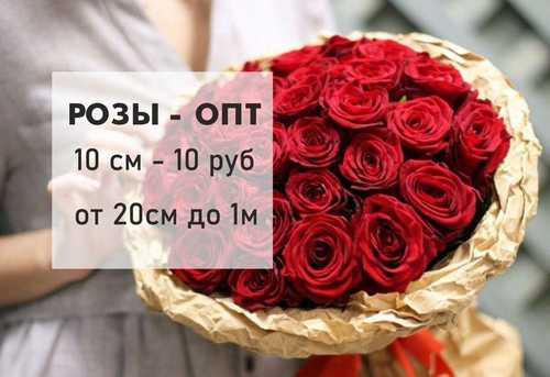 Розы опт и розница от производителя, 101 роза