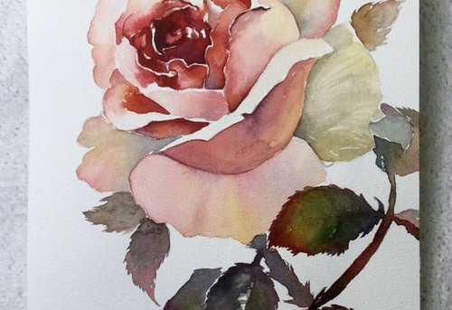Картина акварель цветы «Роза»