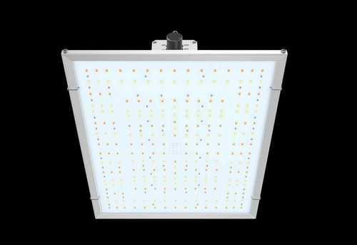 Quantum board Nanolux LED-RG150