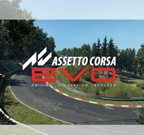 Assetto Corsa EVO (Ранний доступ) (Steam)